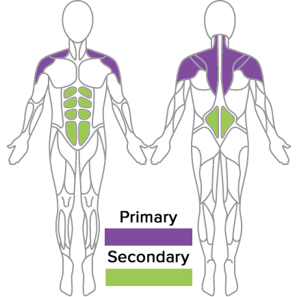 Upright Rows - Green Physique